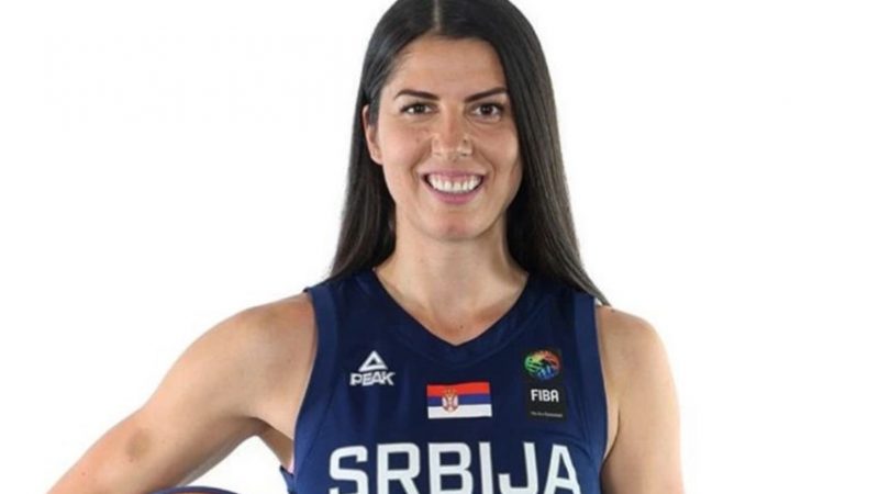 Sport Arad - Sportarad