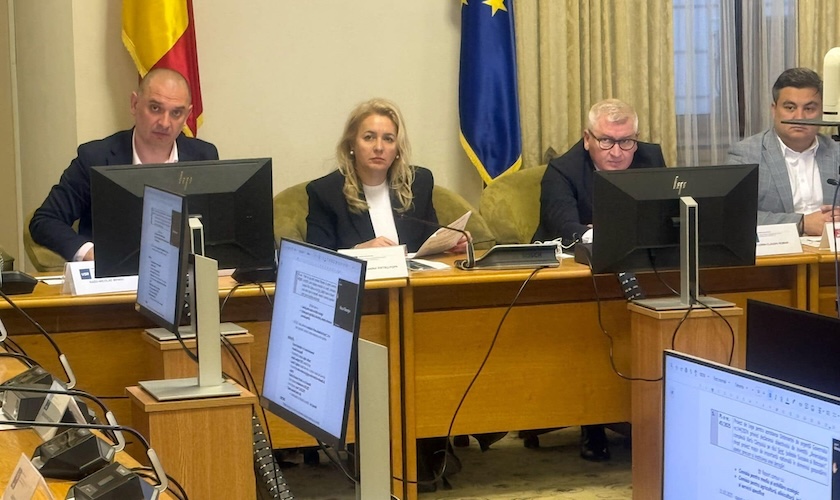 Deputatul Geanina Pistru: înființăm Agenția Națională pentru Politici ...